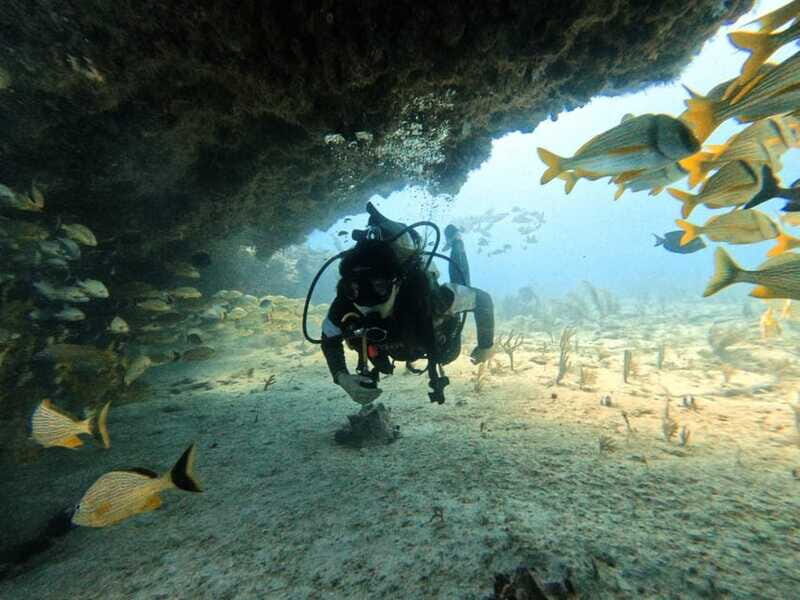Puerto Morelos: Two Reef Dives for Certified Divers - FAQs