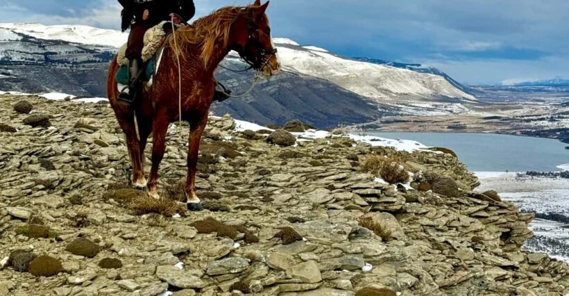 Puerto Natales: Full Day Horse Riding to the Mountains - Key Points
