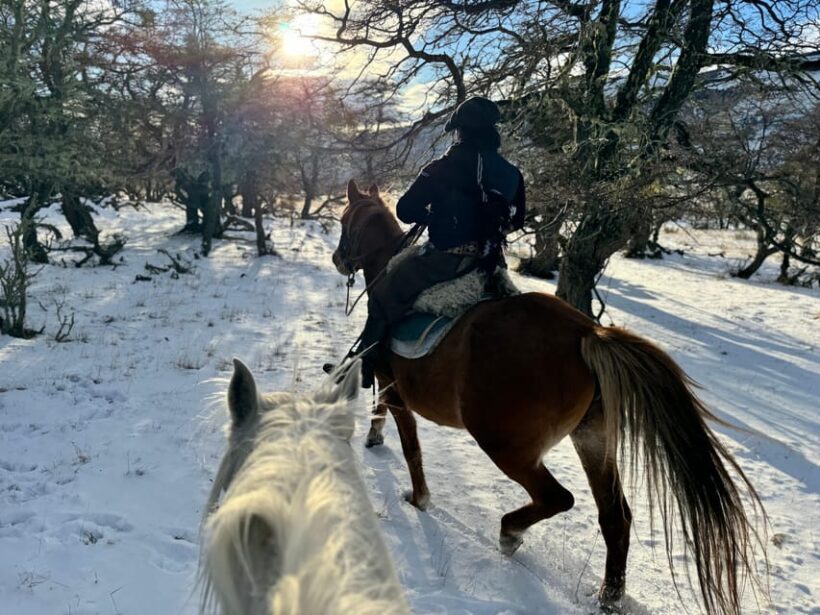 Puerto Natales: Full Day Horse Riding to the Mountains - An Honest Look at the Experience