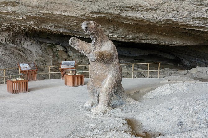 Puerto Natales: Full Day Tour Torres Del Paine - Guide and Transportation