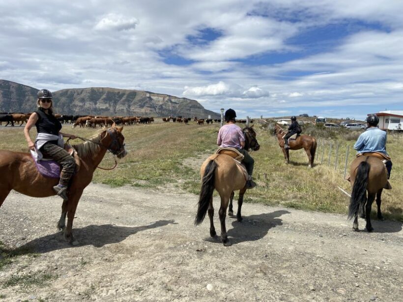 Puerto Natales: Horseback Riding with Horse Connection - Key Points