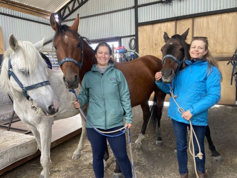 Puerto Natales: Horseback Riding with Horse Connection - Additional Highlights and Activities