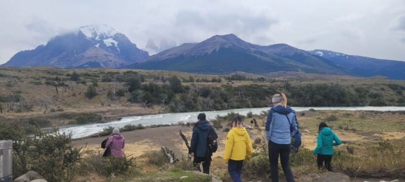 Puerto Natales: Torres del Paine Full Day Tour - Reviews Highlighting the Experience