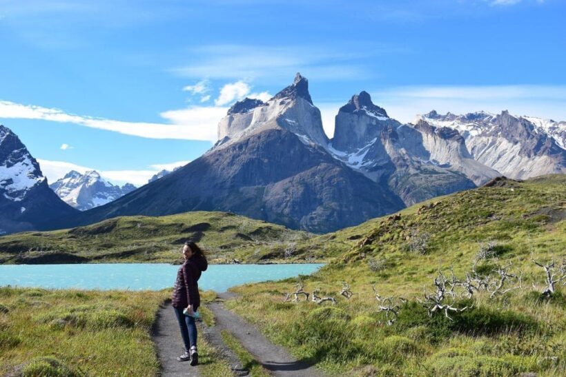 Puerto Natales: Tour Package (Full Day + Base Torres + Grey) - Is This Tour Right for You?