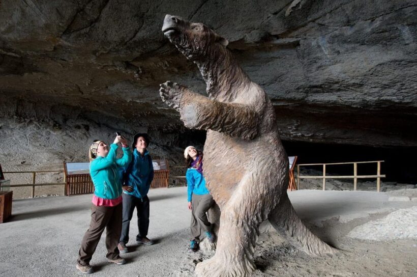 Puerto Natales: Tour Package (Full Day + Base Torres + Grey) - The Sum Up