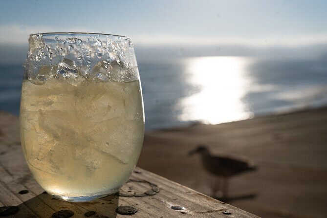 Puerto Nuevo Lobster and Tequila Tour - Who This Tour Is Best For