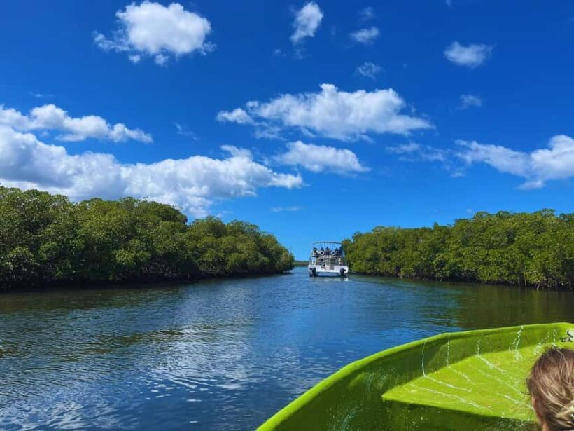 Puerto Plata: Amber cove and Taino Bay guided tour - An In-Depth Look at the Tour