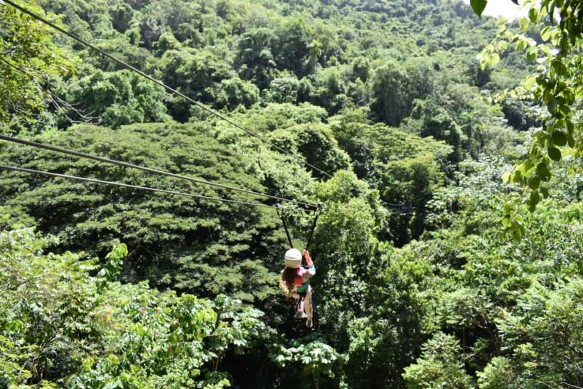 Puerto Plata/Amber Cove: Zipline and Waterfalls with Lunch - Key Points