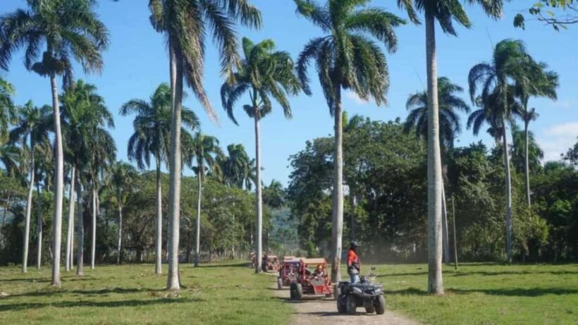 Puerto Plata: Buggy Tour with Cigar Factory & Beach Stop - Final Words