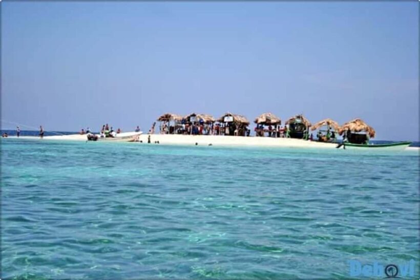 Puerto Plata: Cayo Arena Tour with Snorkeling and Mangroves - An In-Depth Look at the Experience