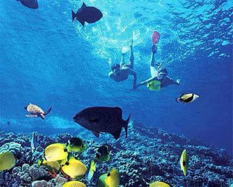 Puerto Plata: Cayo Arena Tour with Snorkeling and Mangroves - Authenticity and Reviews: What Travelers Say