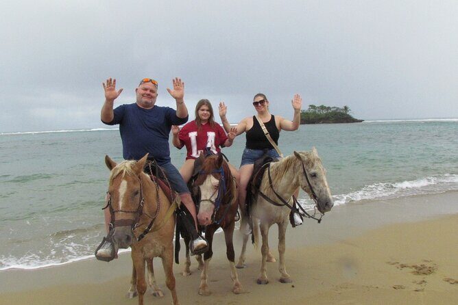 Puerto Plata City Horseback Riding Tour ,Rios,Beaches and Countryside - FAQ