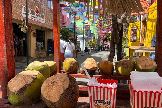 Puerto Plata City Private Tour - FAQ