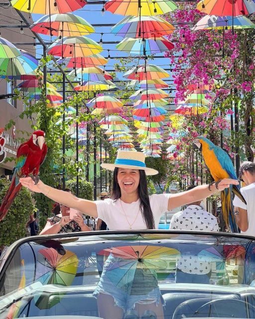 Puerto Plata City Tour + Top of the Cable Car by Driving - Who Will Love This Tour?