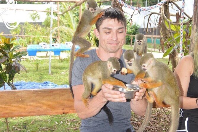 Puerto Plata City Tour with Monkeys - Key Points