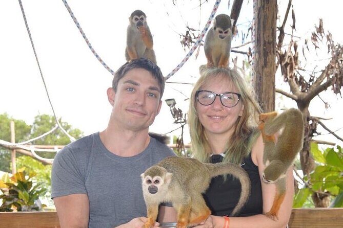 Puerto Plata City Tour with Monkeys - Insights from Reviews and Practical Tips