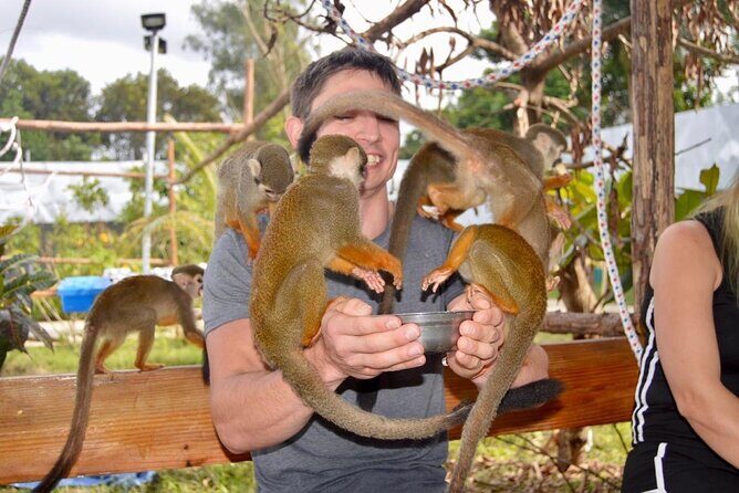 Puerto Plata City Tour with Monkeys - Who Should Consider This Tour?