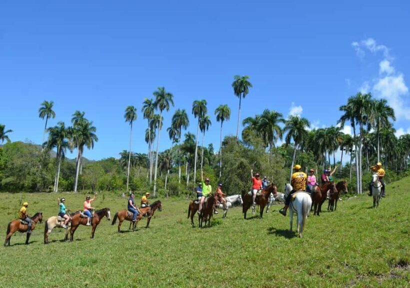 Puerto Plata Combo Experience: Zip-line + Horseback Riding - What to Expect from This Adventure