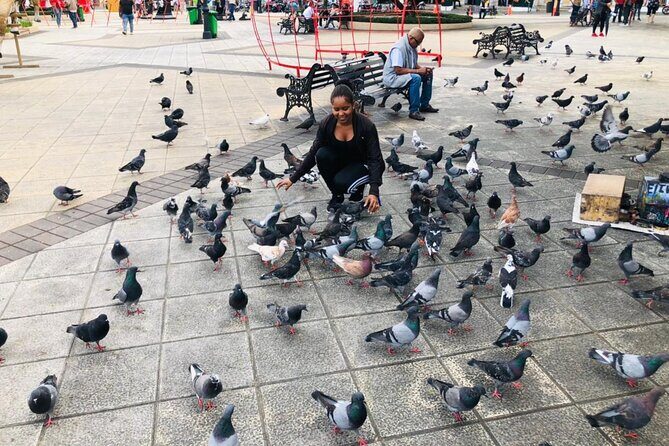 Puerto Plata Cultural City Tour  Half Day Experience - In-Depth Look at the Tour Experience