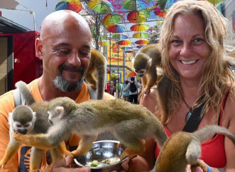Puerto Plata: Cultural Tour & Ethical Monkey Observation - Key Points