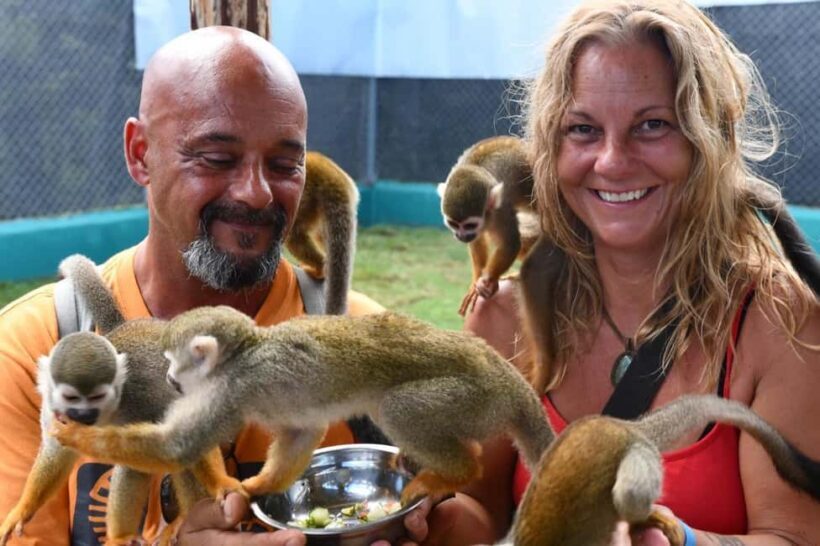 Puerto Plata: Cultural Tour & Ethical Monkey Observation - A Closer Look at the Experience