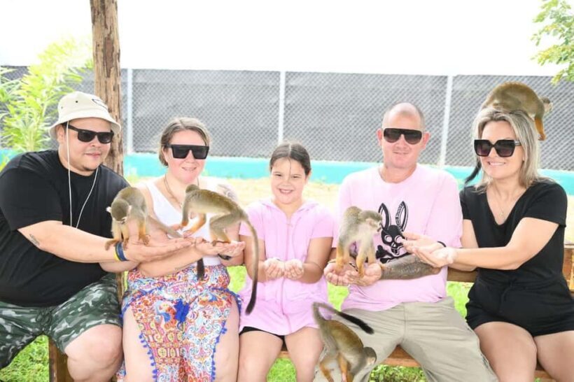 Puerto Plata: Cultural Tour & Ethical Monkey Observation - The Sum Up