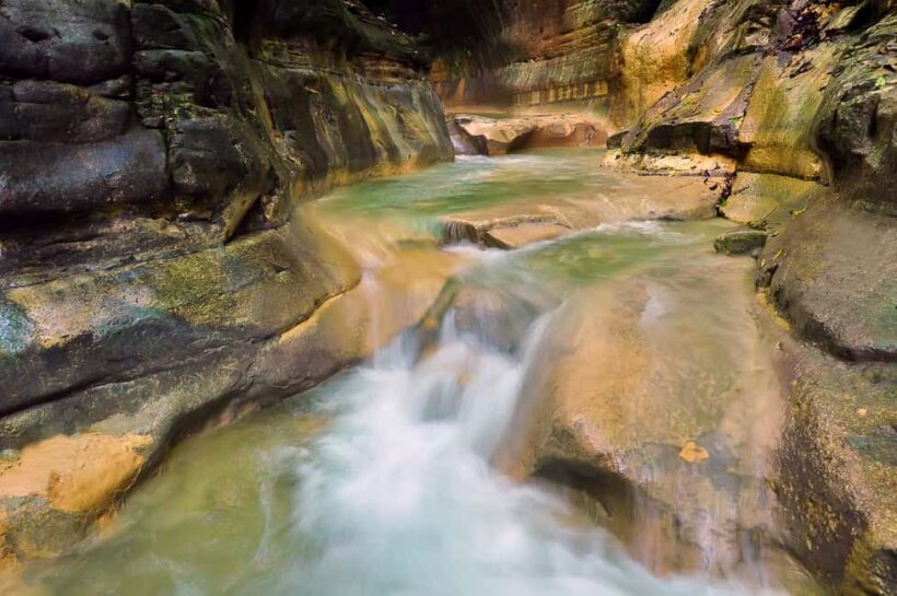 Puerto Plata: Damajagua Waterfalls Full-Day Adventure - What Travelers Say: The Authentic Voice