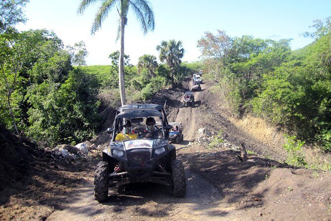 Puerto Plata: Damajagua waterfalls + Horseback riding( TOP2IN1) - The Sum Up