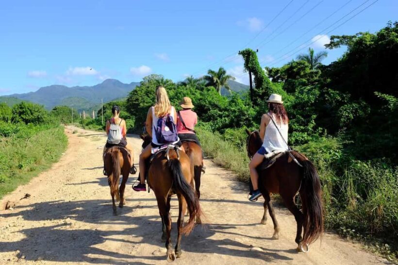 Puerto Plata: Damajagua Waterfalls, Zipline & Horse Ride - Key Points