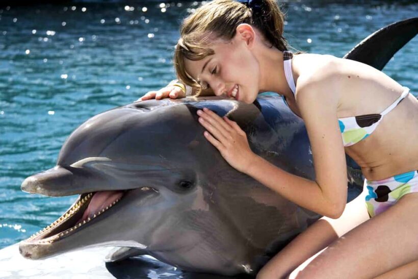 Puerto Plata: Dolphin Encounter at Ocean World - Key Points