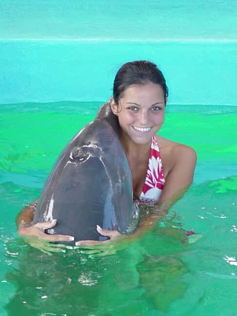 Puerto Plata: Dolphin Encounter at Ocean World - Authentic Experiences and Practical Details