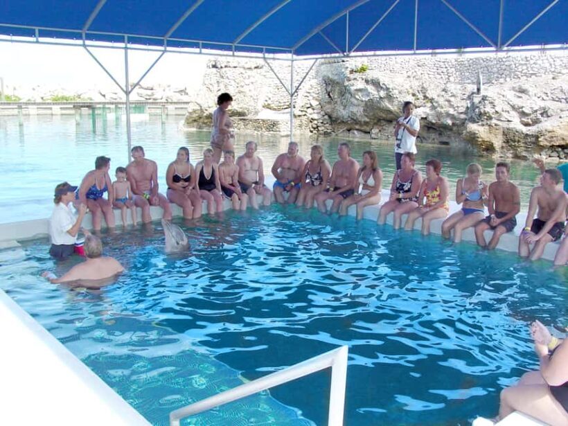 Puerto Plata: Dolphin Encounter at Ocean World - Final Thoughts