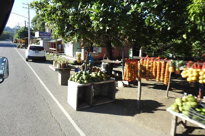 Puerto Plata : Dominican Day Life + Waterfalls of Damajagua (SAFARI FULL DAY) - An In-Depth Look at the Tour Experience