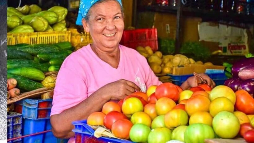 Puerto Plata: Guided City Tour with Historic Center and San Felipe Fort - An In-Depth Look at the Puerto Plata Guided City Tour