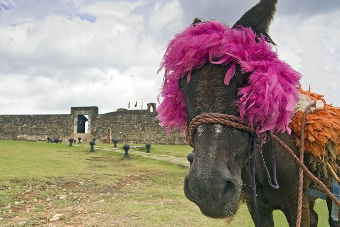 Puerto Plata Historic Town & Countryside - Amber Cove & Taino Bay - Relaxing by the Beach and Cultural Final Touches