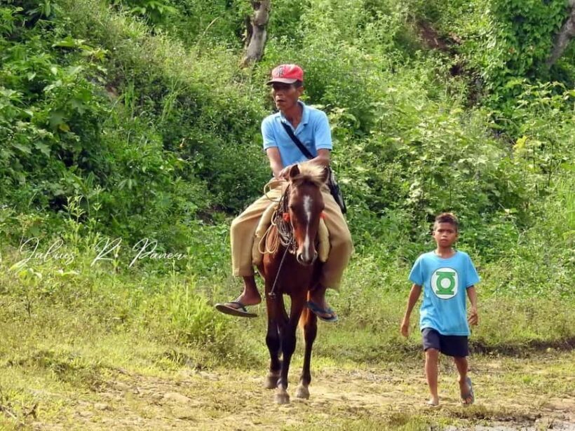 Puerto Plata: Horseback Riding Tour with Beach Views - Key Points