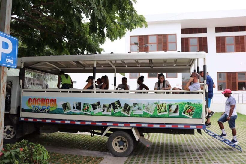 Puerto Plata: Jeep Safari Adventure to the 7 Damajagua Waterfalls - Who Will Love This Tour?