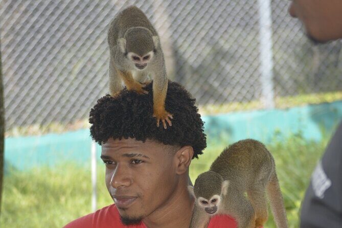 Puerto Plata Monkey Home Tour by Minivan - An In-Depth Look at the Puerto Plata Monkey Home Tour