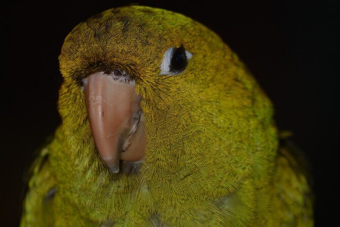 Puerto Plata Monkey Home Tour by Minivan - FAQ