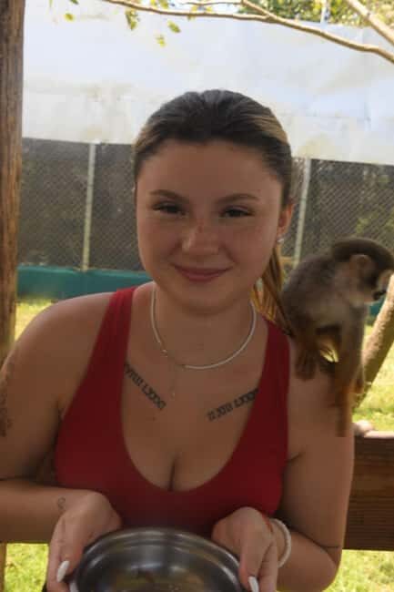 Puerto Plata: Monkey Tour and a Glimpse of Cows and Pigs - What Travelers Say