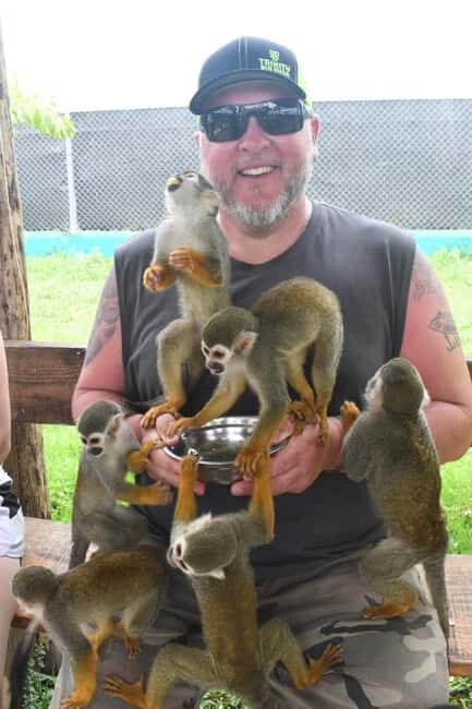 Puerto Plata: Monkey Tour and a Glimpse of Cows and Pigs - Price and Value