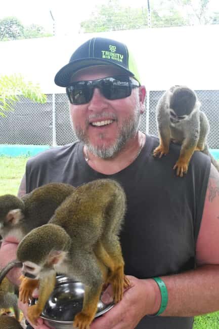 Puerto Plata: Monkey Tour and a Glimpse of Cows and Pigs - Who Should Consider This Tour?