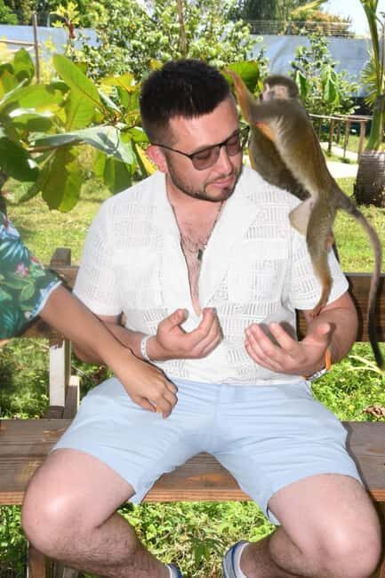 Puerto Plata: Monkey Tour and a Glimpse of Cows and Pigs - The Sum Up