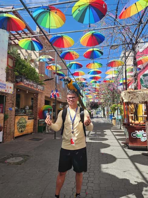 Puerto Plata: Monkey Tour, Fortress, and Historic Center - Key Points