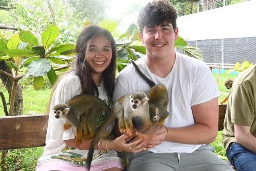 Puerto Plata: Monkey Tour, Fortress, and Historic Center - In The Sum Up