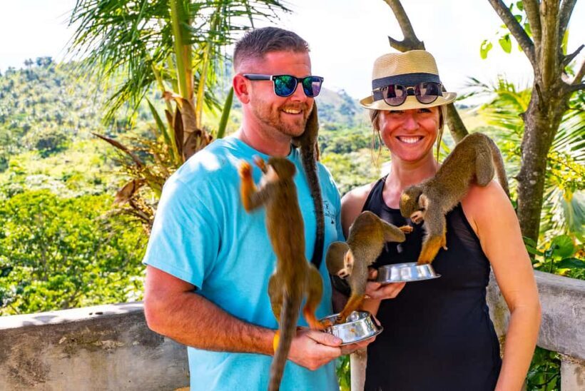 Puerto Plata: Monkeyland and Zip-Line Adventure - Final Thoughts: Who Will Love This Tour?