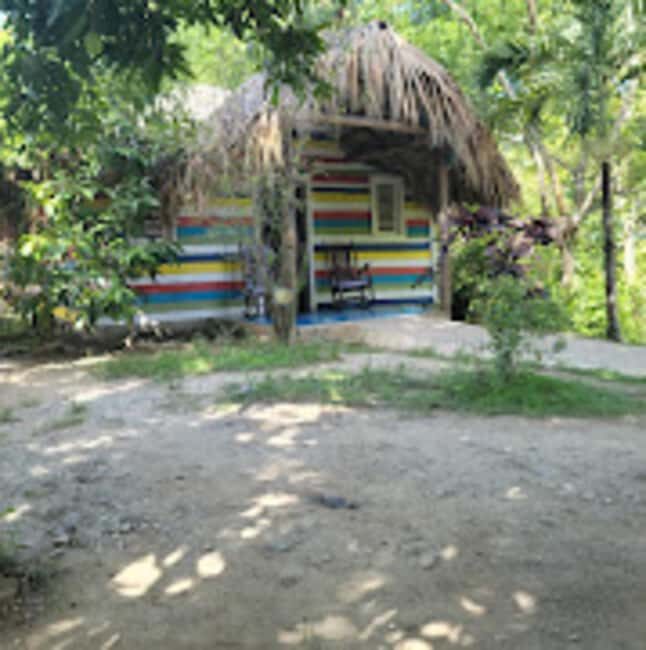 Puerto Plata: Monkeyland Tour - Authentic Experiences and Genuine Value