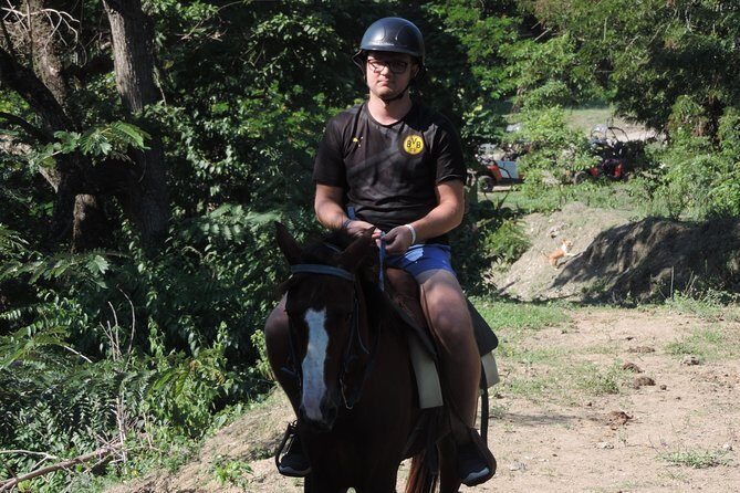 Puerto Plata: Mountain Half Day Horseback Riding - Final Thoughts: Is This Tour for You?