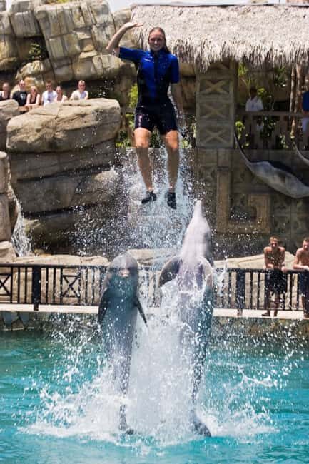 Puerto Plata: Ocean World Adventure Park Day Pass - How Does It Compare on Value?