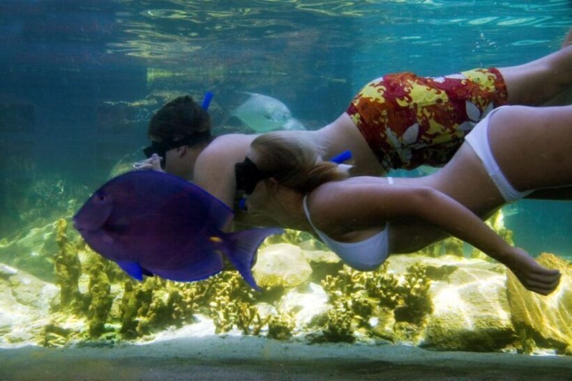 Puerto Plata: Ocean World Adventure Park Day Pass - FAQ